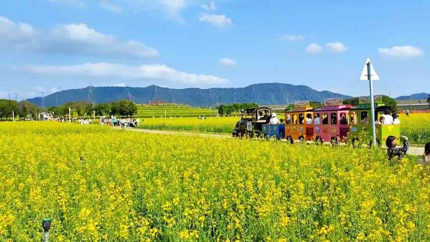 光明小镇欢乐田园9月份图标