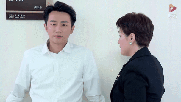 亲爱的翻译官番外续集截图