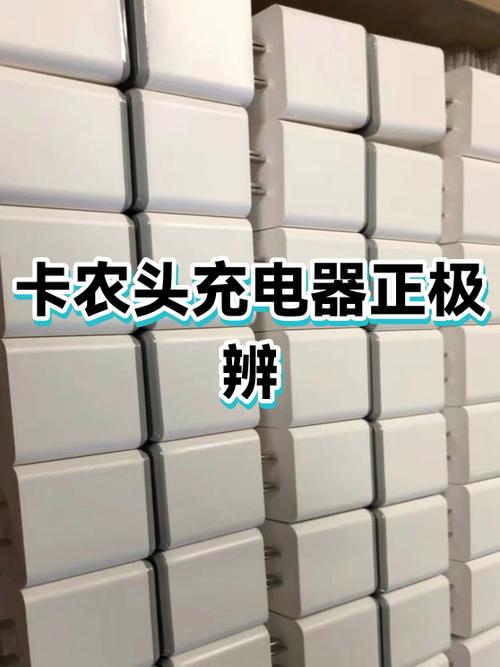 两个凸起的三电头充电器截图