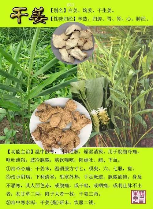 500种药材名称图标