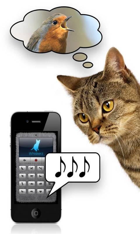 猫咪叫声翻译器图标