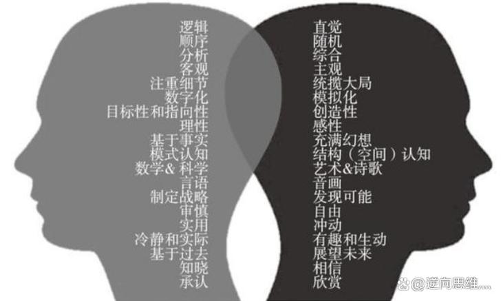 人类的思维方式