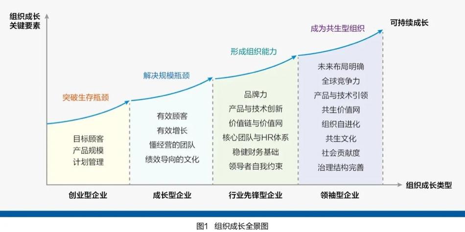 公司发展的五个阶段图标