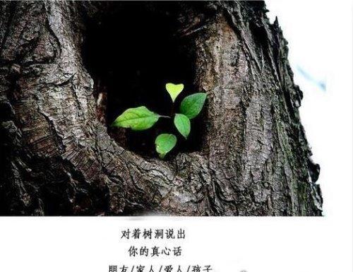 树洞app改名后叫什么图标