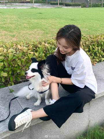 舟好甜图标