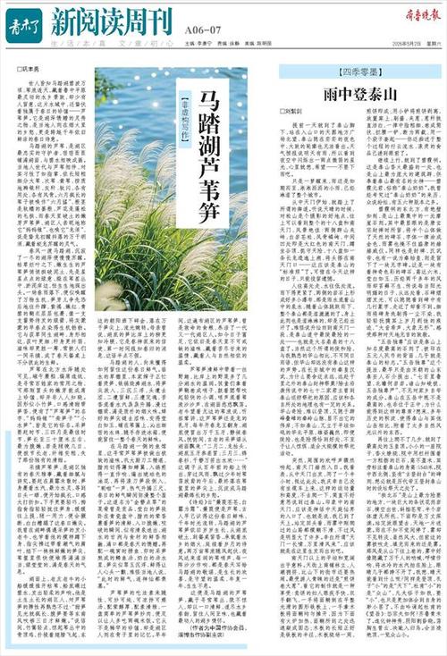 齐鲁晚报电子版在线阅读