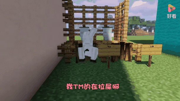 mc倒立命名