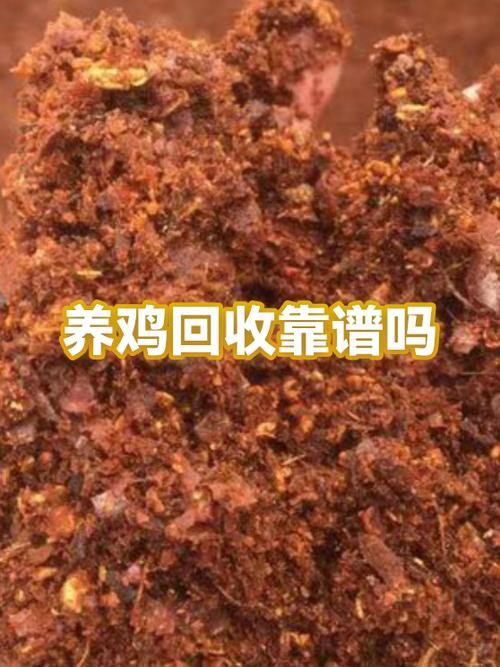 合作养殖回收靠谱吗