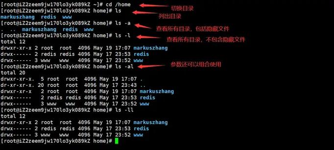 打开terminal命令打开文件夹