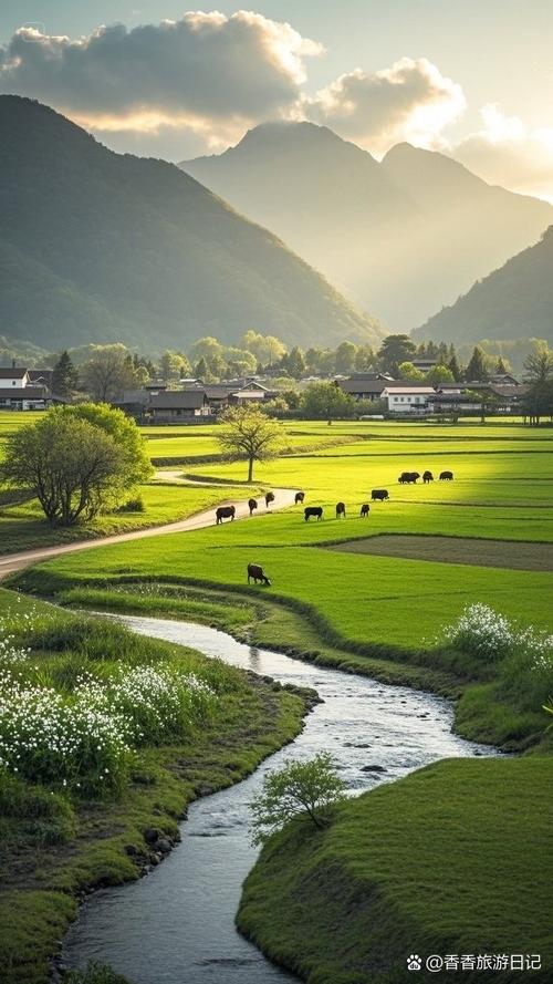 悠闲小镇图标