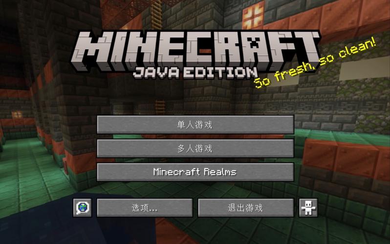 mc1.21版本图标