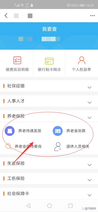 养老保险个人帐户余额查询软件图标