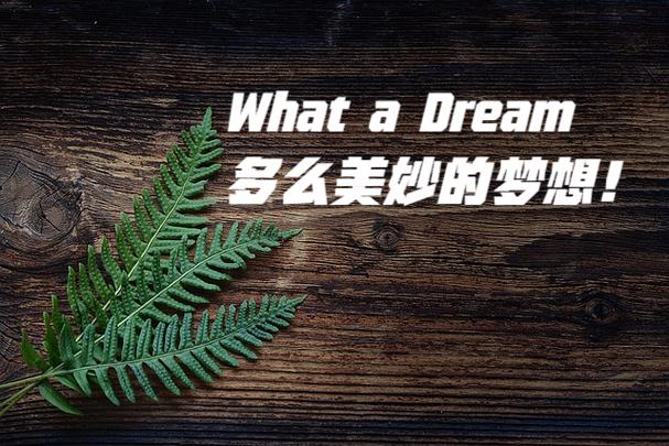 localdream模型下载图标