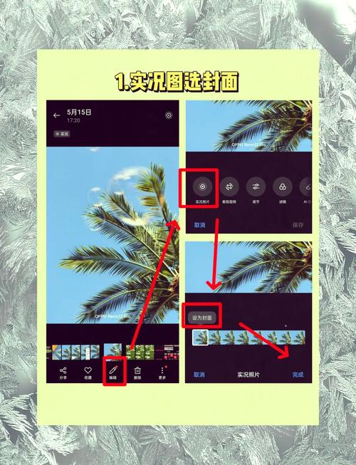 vivo手机拍照实况模式在哪里图标