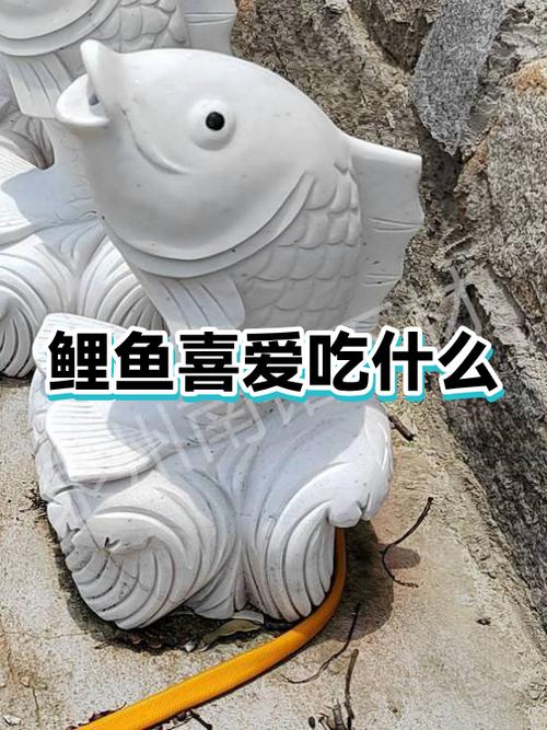 鲤鱼喂养吃什么食物图标