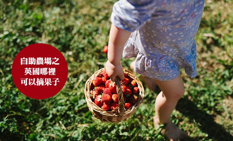 豆乐农场下载图标