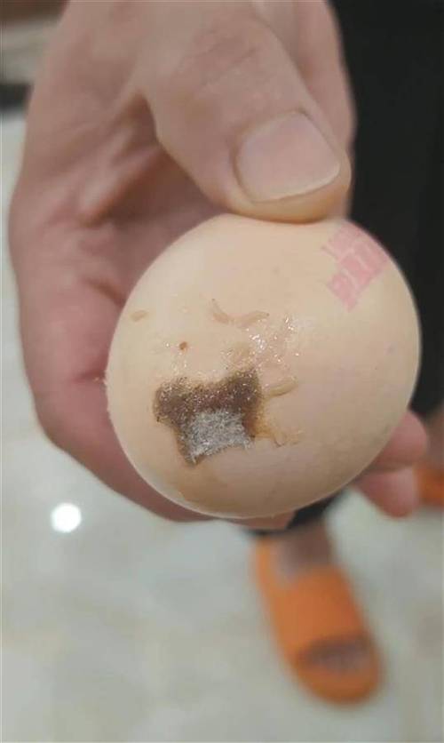生鸡蛋里有寄生虫吗
