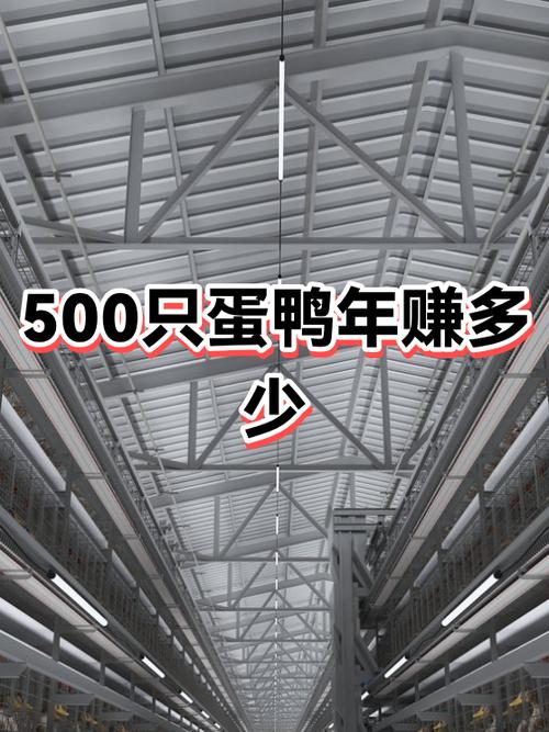 养鸭赚赚怎么提现图标