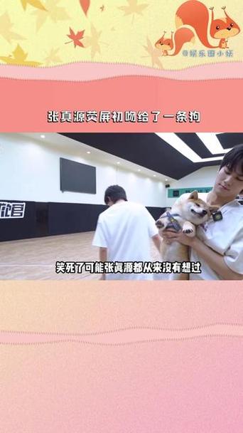 张真源初吻给谁了图标