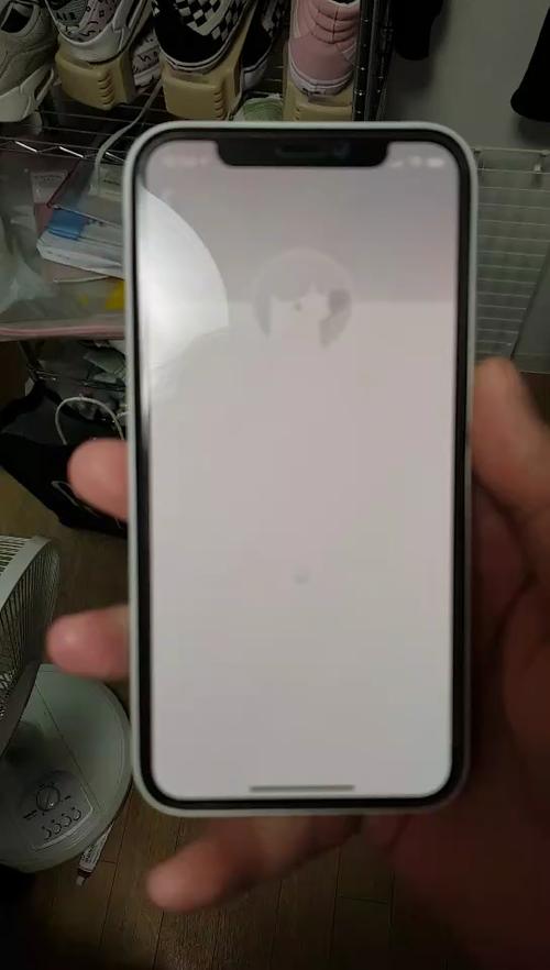 iphonex屏幕失灵乱跳图标