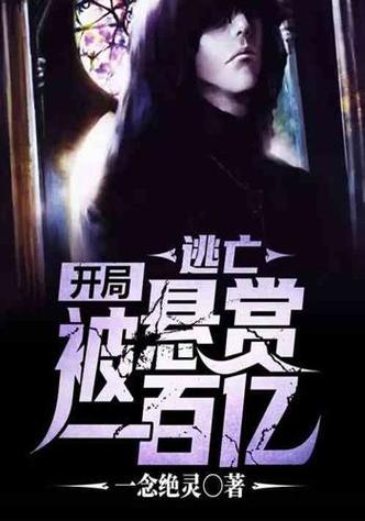 最经典的逃亡追杀小说截图