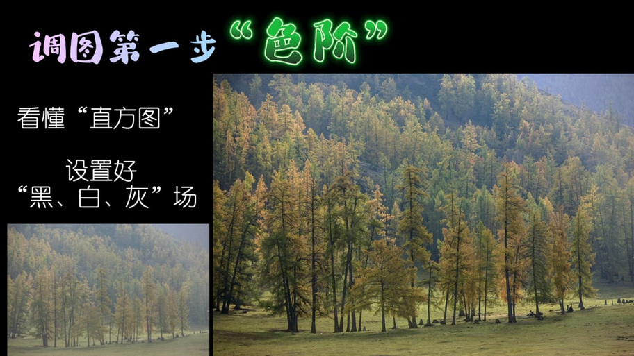 ps不知道按了什么颜色变灰了图标