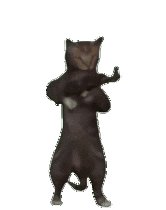 猫meme动漫全集缩略图