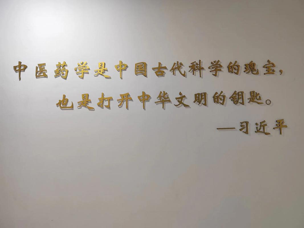 中医是中国的医学吗图标