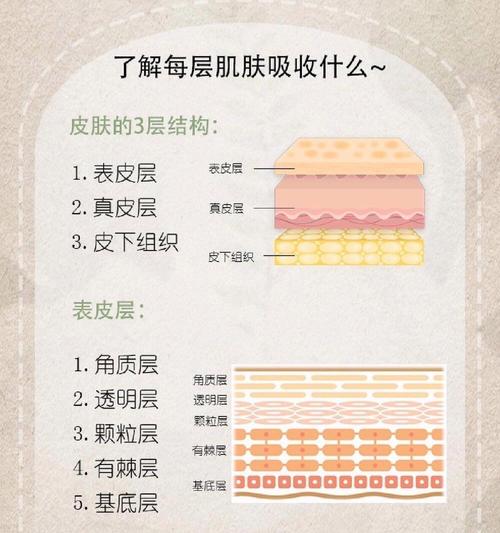 皮肤分为图标