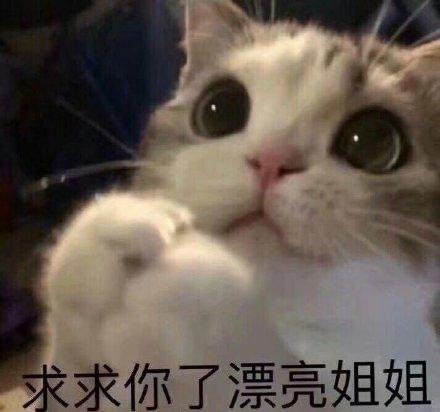 求求了表情包图标