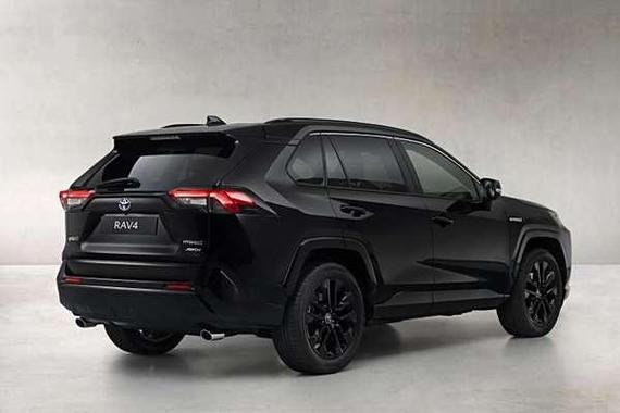 RAV4荣放特别版截图