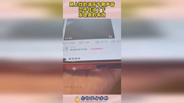 专业手机清灰音效 声音开到最大截图