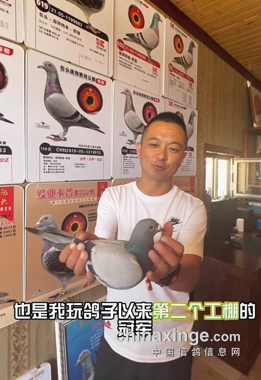 君翼赛鸽公棚工棚图标