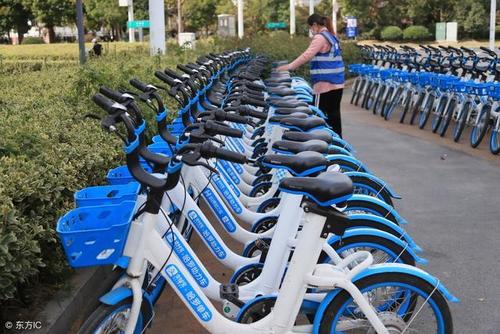哈喽顺风车客服电话24小时电话号码图标