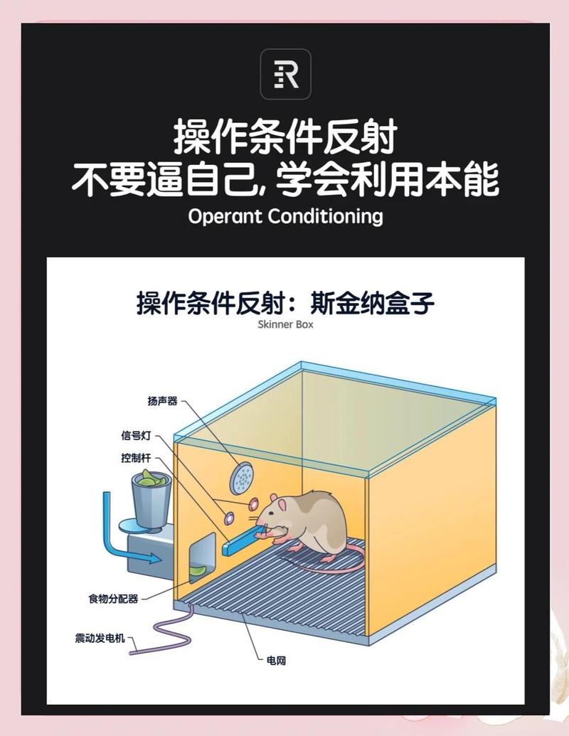 苹果电脑不用鼠标怎么下拉页面图标