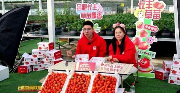 直播卖草莓的话术图标
