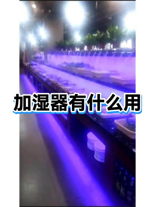 加湿器有啥用图标