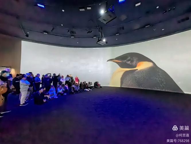 南极影院图标