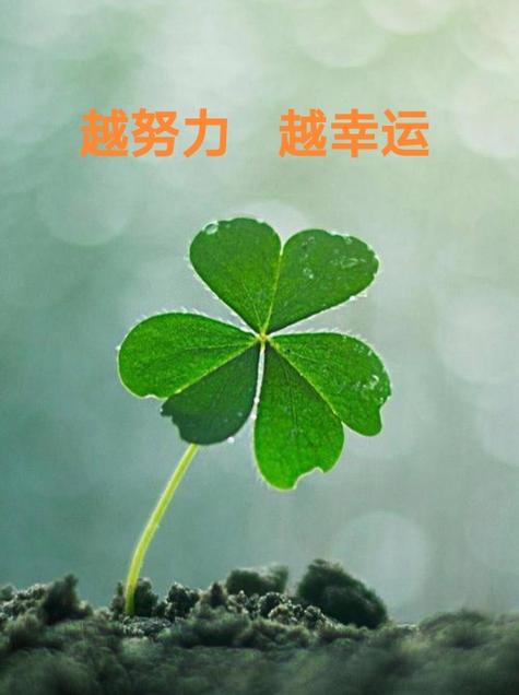 绿色能量不让别人收图标