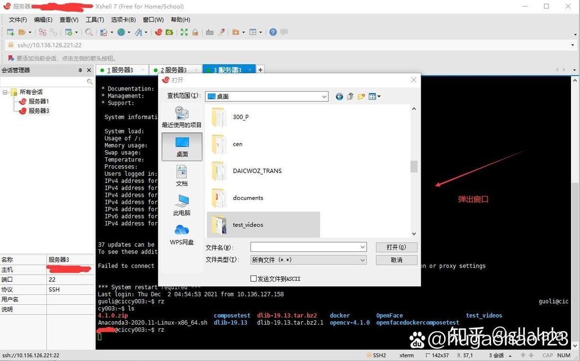 xshell替代图标