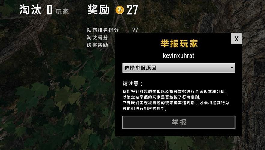 吃鸡如何举报队友图标