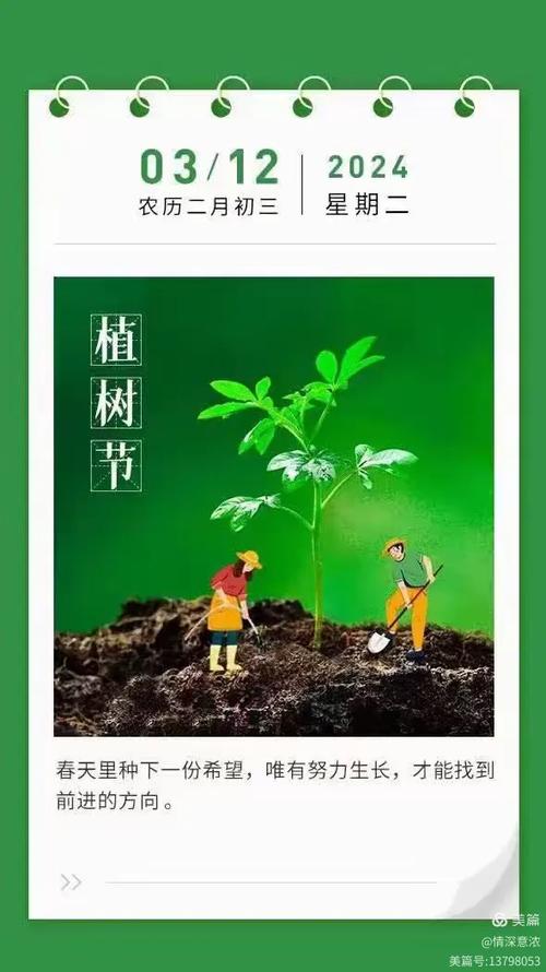 植树最走心的句子截图