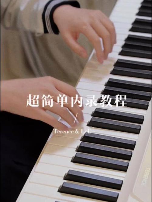 怎么录自己弹钢琴图标
