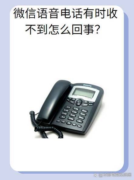 语音电话有回音是什么情况图标