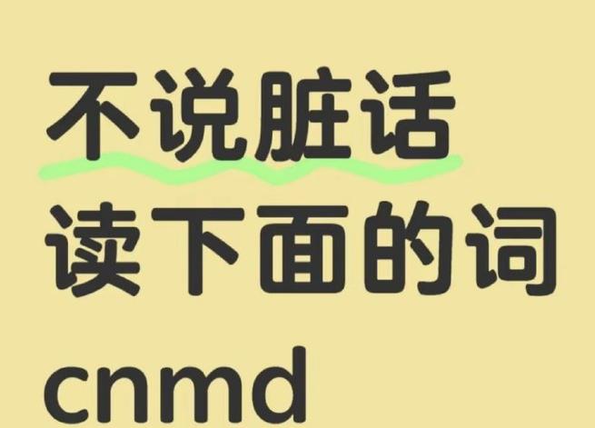 pls网络用语