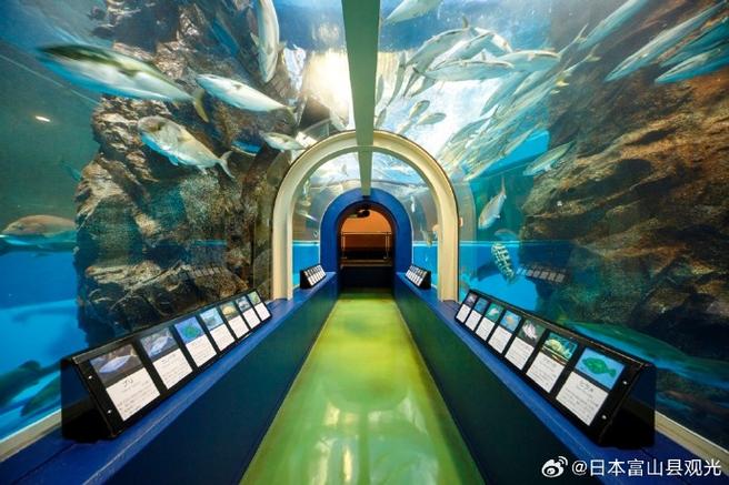 水族馆历史
