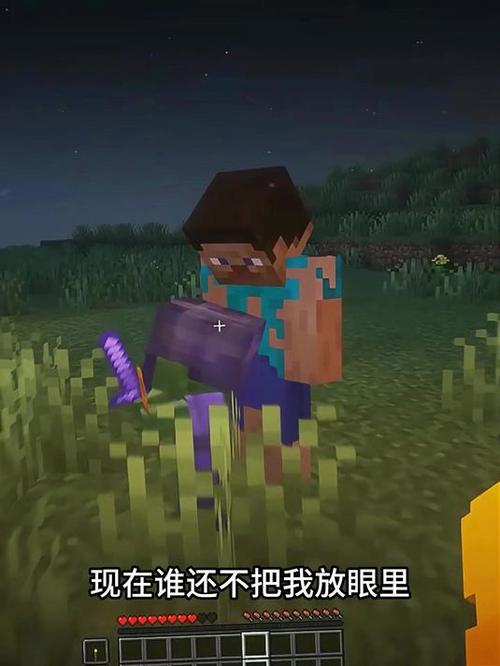 我的世界him到底存不存在截图