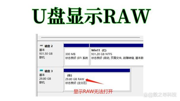 u盘raw格式无法格式化截图
