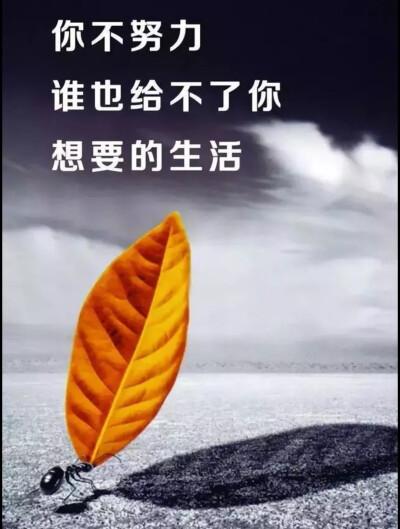 你不努力,谁也给不了你想要的生活图标