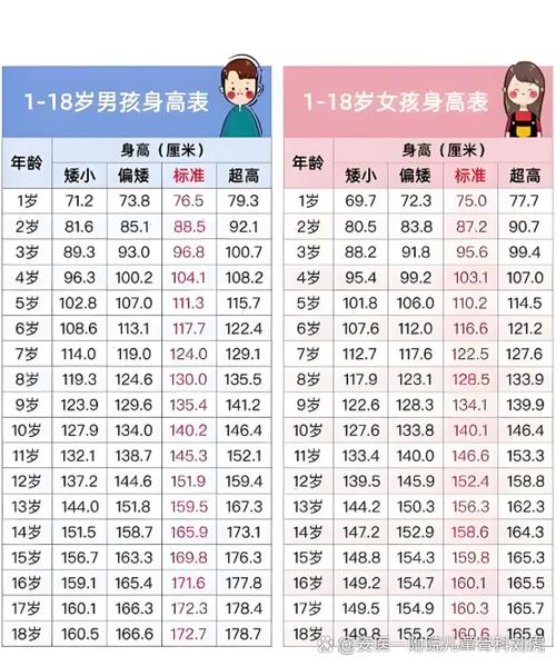 13岁男生多大算正常图标
